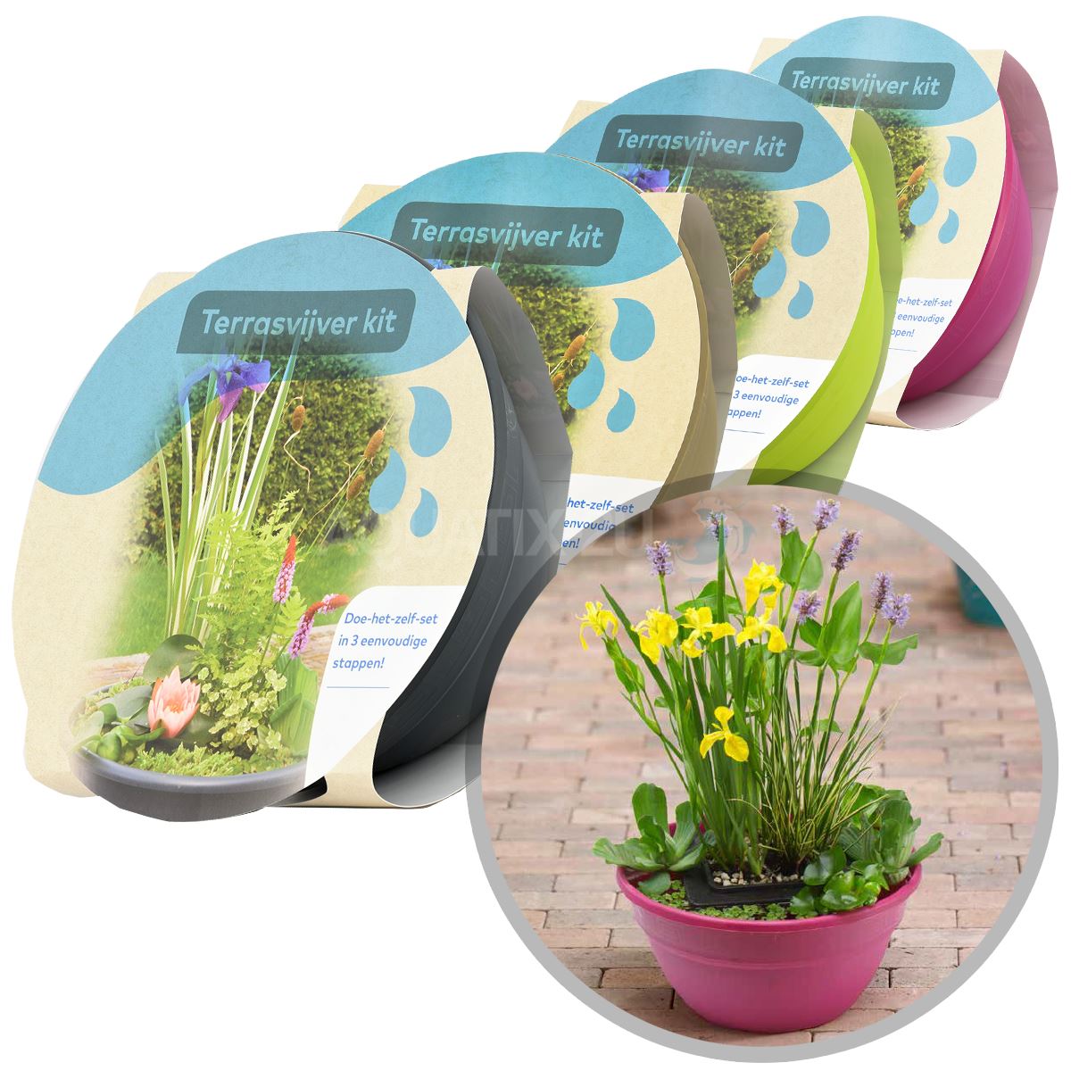 Moerings 3 in 1 Patio Pond Water Plants Set | Outdoor Garden Planter